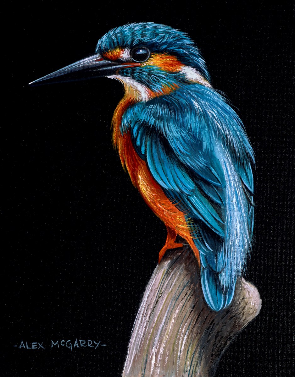 Alex McGarry | DeMontfort Fine Art