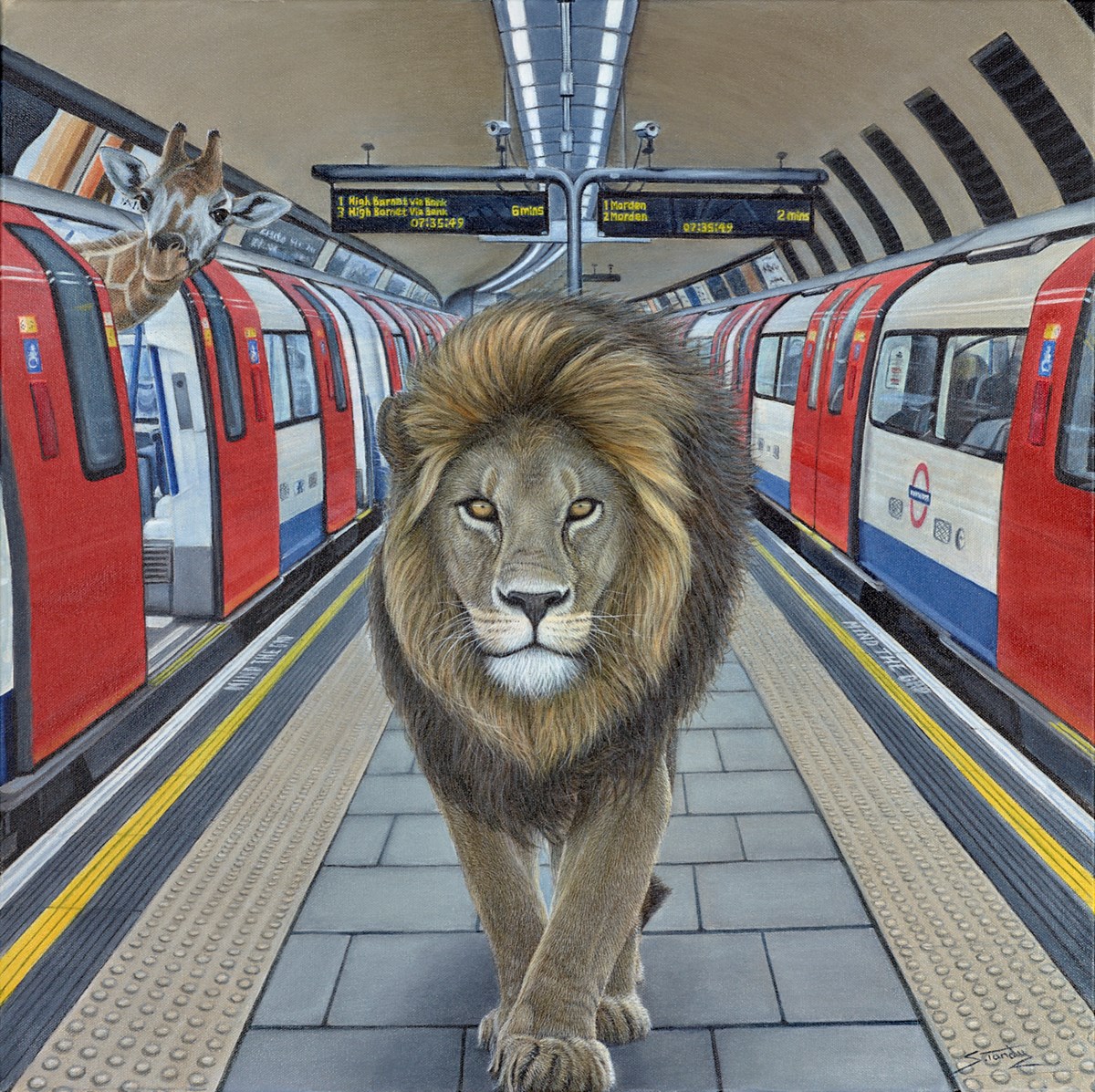 Steve Tandy | DeMontfort Fine Art