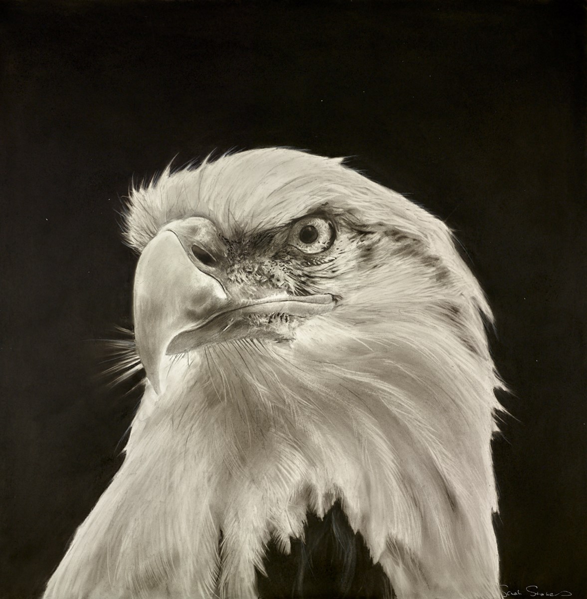 Sarah Stokes | DeMontfort Fine Art