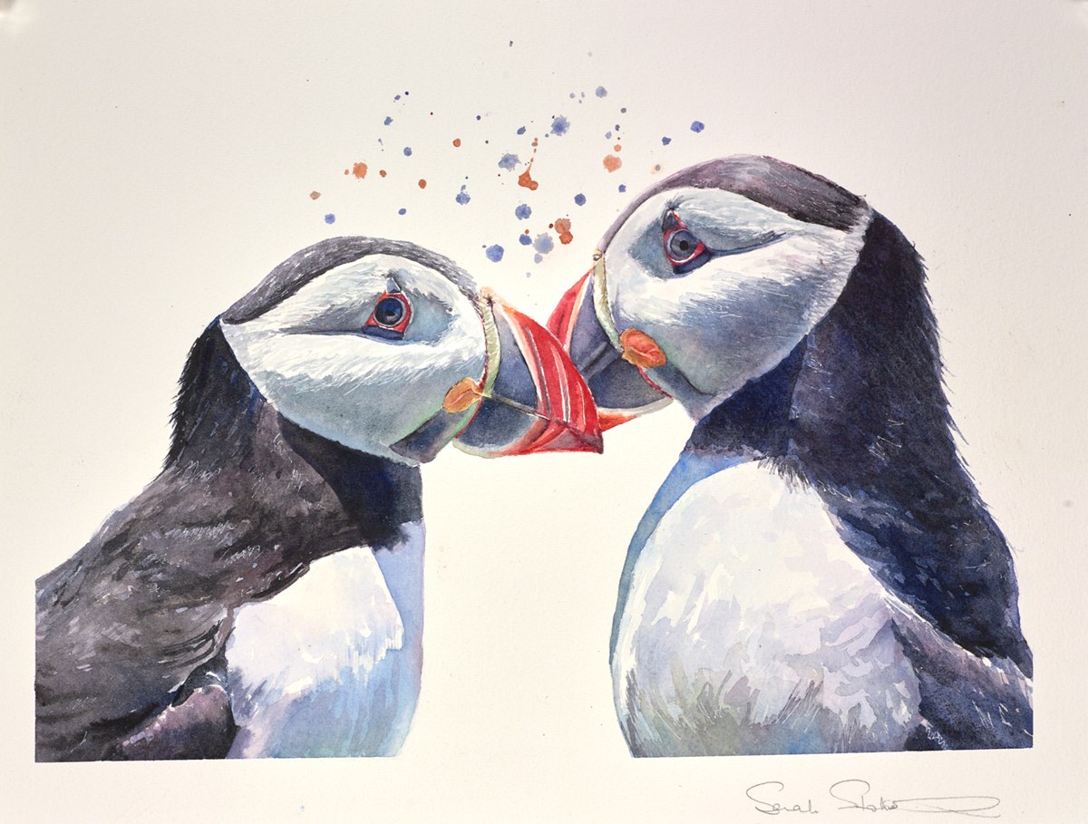 Sarah Stokes | DeMontfort Fine Art