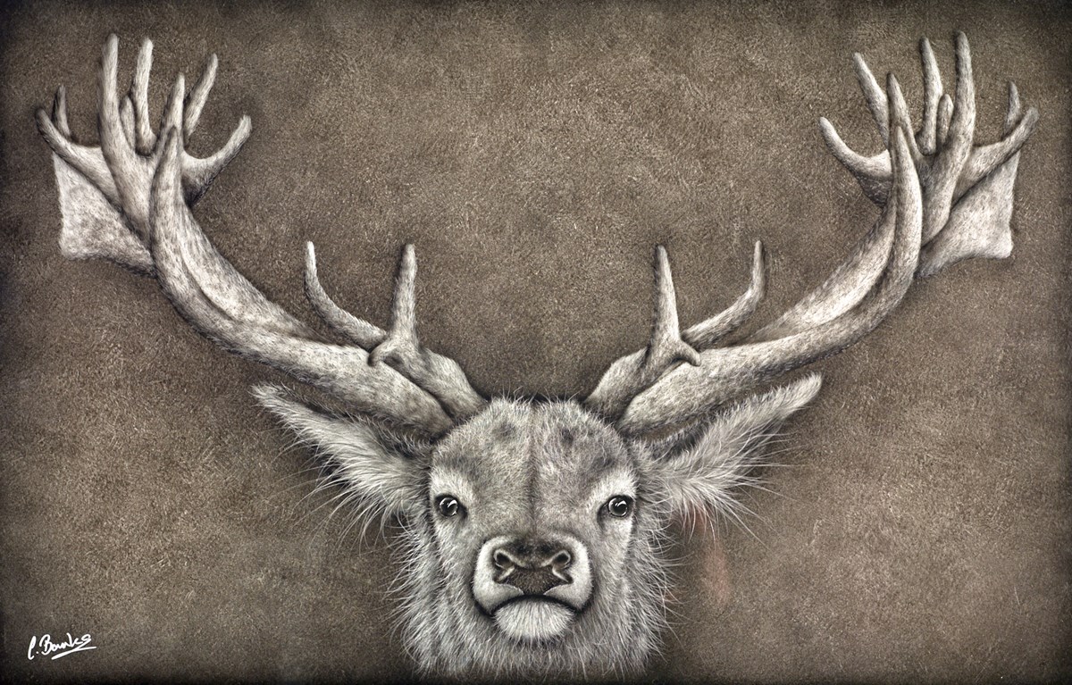 Colin Banks | DeMontfort Fine Art