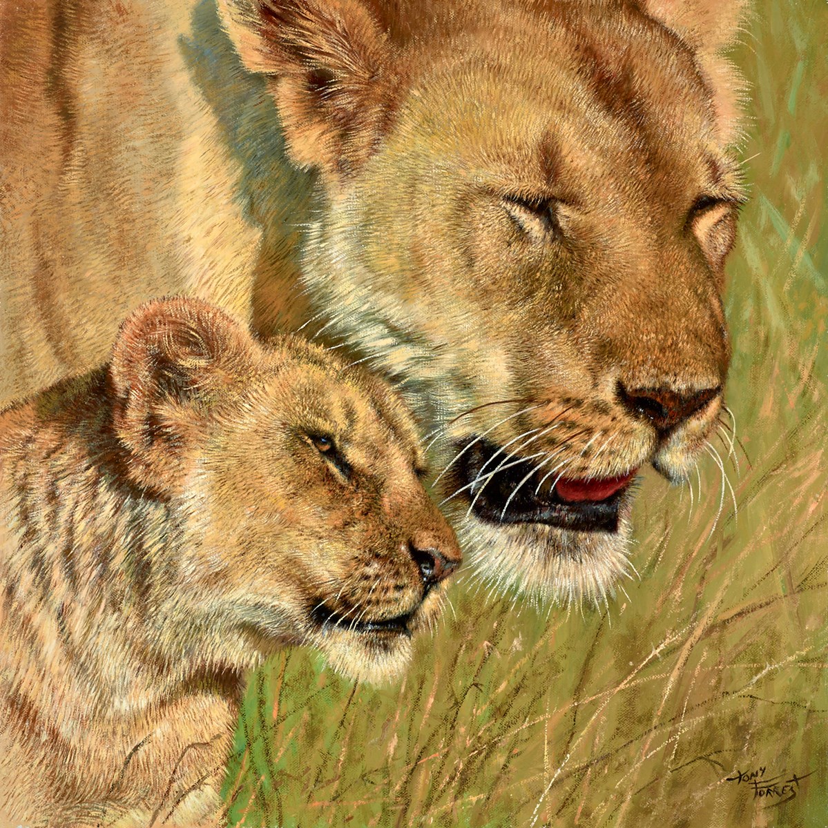 Tony Forrest | DeMontfort Fine Art