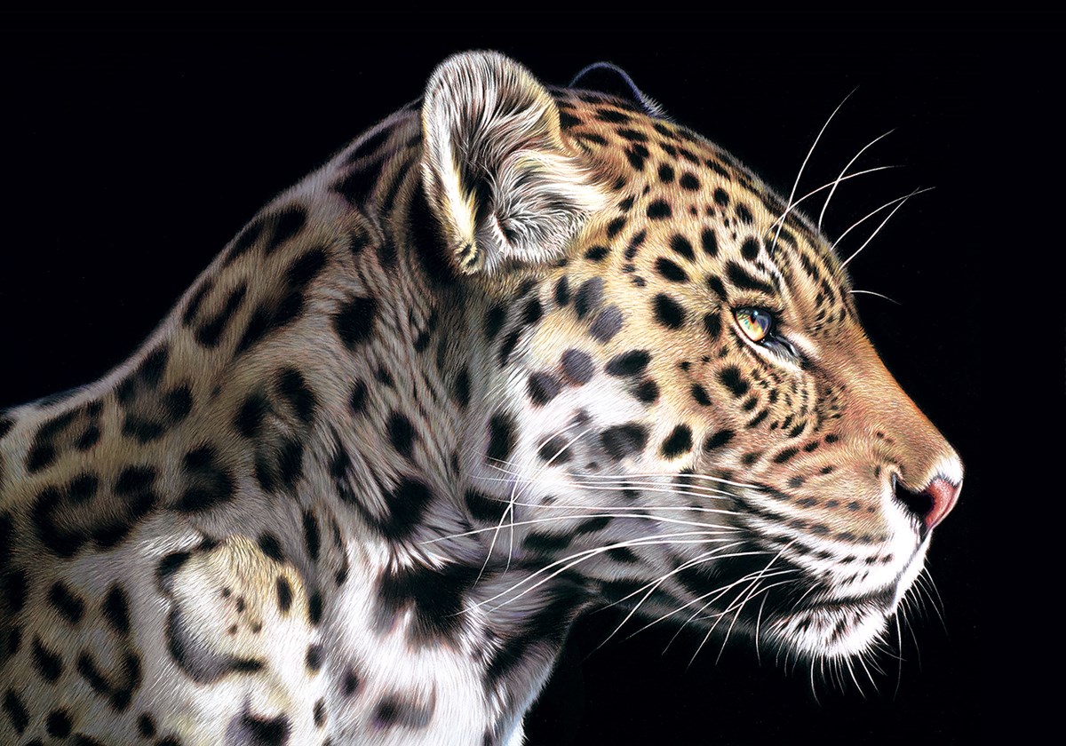 Darryn Eggleton | DeMontfort Fine Art